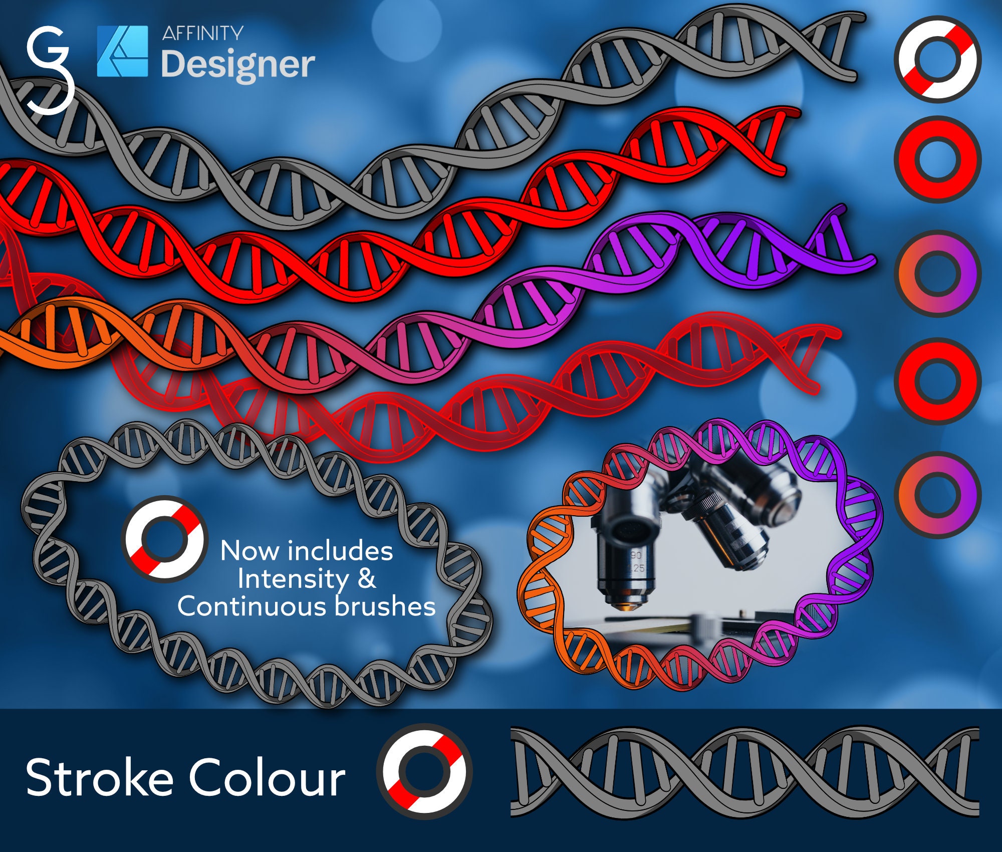 3 DNA Vector Brushes for Affinity Designer - Etsy