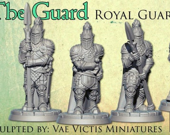 28-32mm Royal Guard | Dnd Miniatures | Dungeons & Dragons Miniatures ...