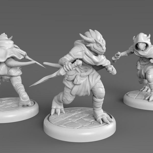 Dnd Dragonborn Miniature - Etsy