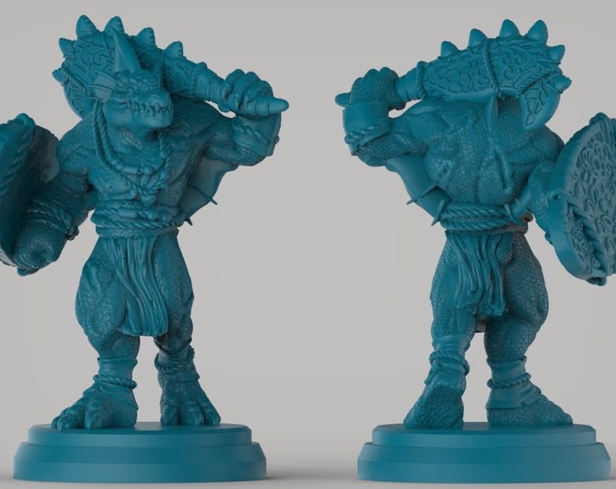 28mm Set of 2 Styles Shadow Dragonborn Rogue Dnd Miniatures - Etsy