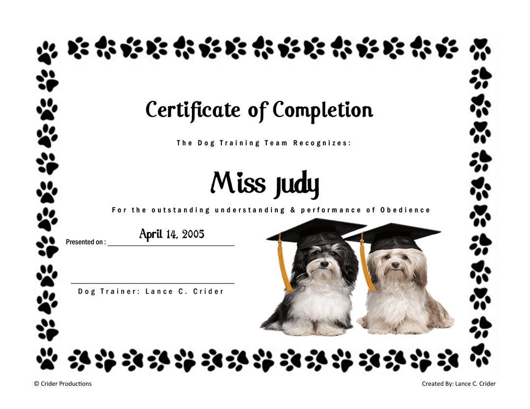 Personalized Dog Training Certificates - Etsy