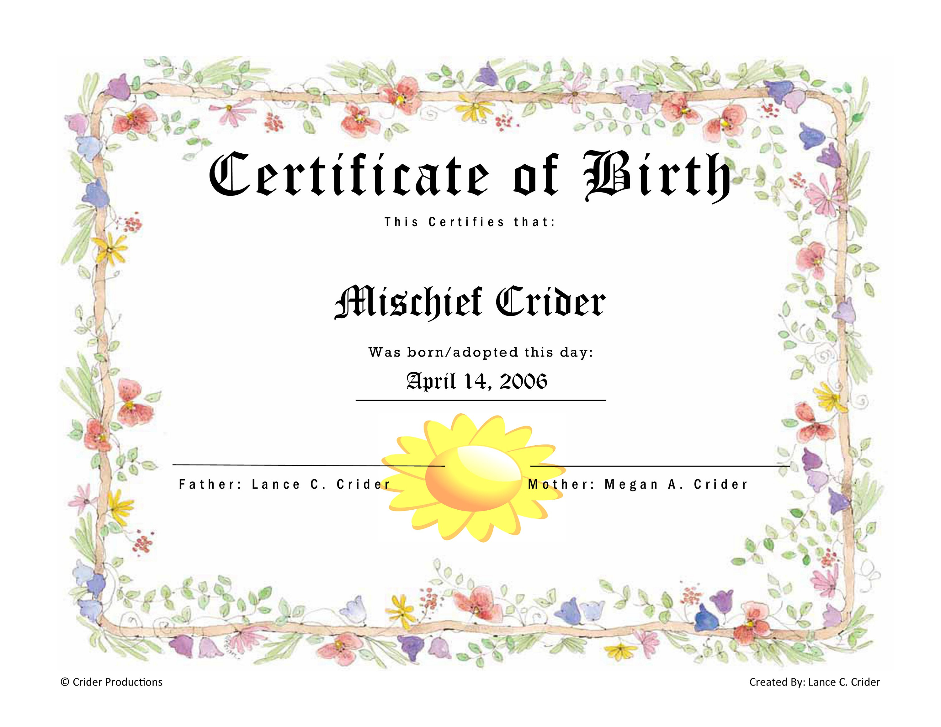 Birth Certificates - Etsy