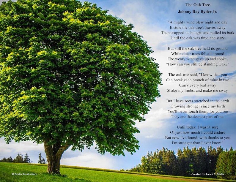 The Oak Tree Poem - Etsy