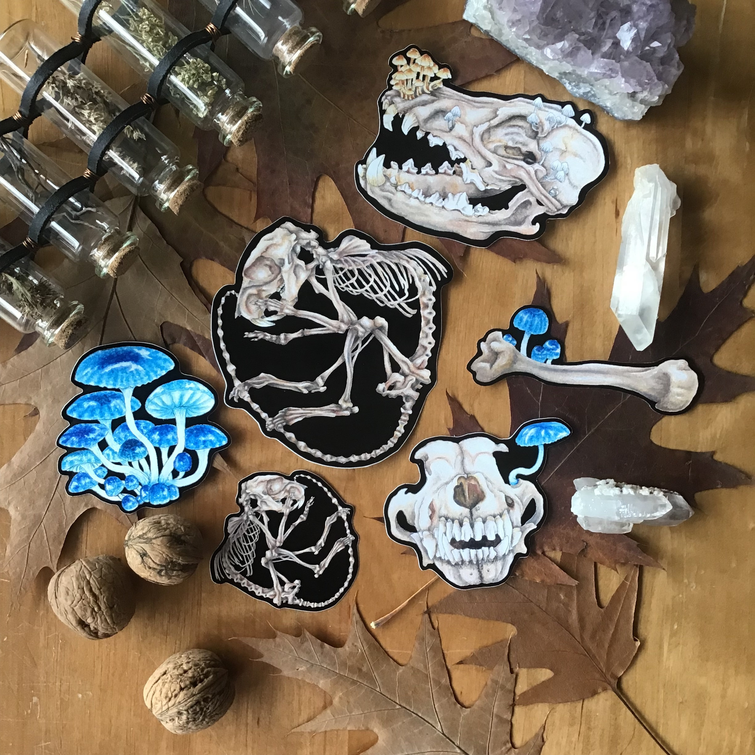 Stickers, Labels & Tags Paper & Party Supplies Bone vinyl sticker pack ...