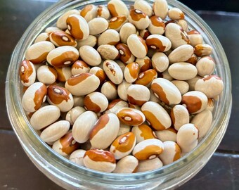 20+ Black Dry Pole Bean Seeds, Veganic (vegan & Organic), Heirloom ...