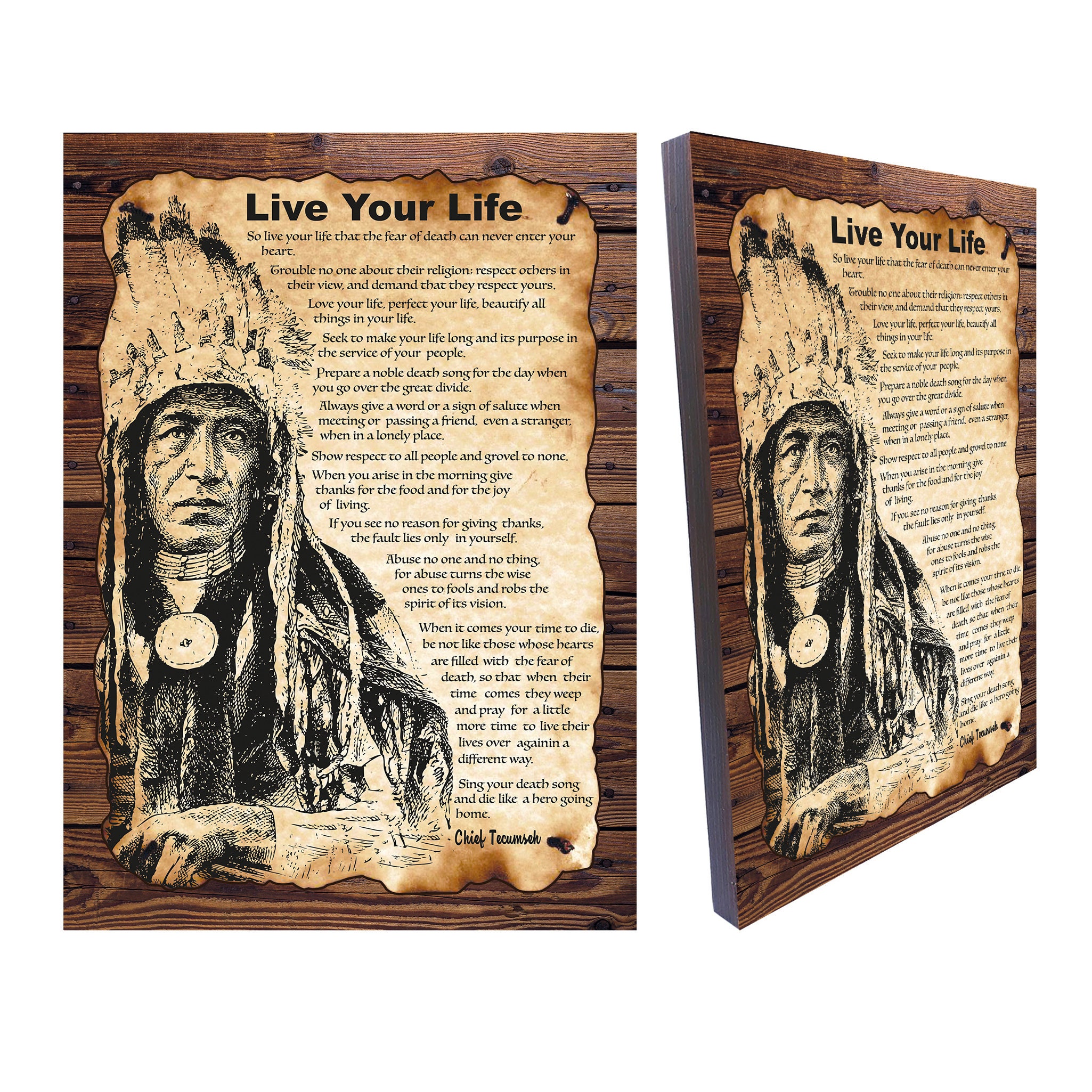 Tecumseh Warrior Poem