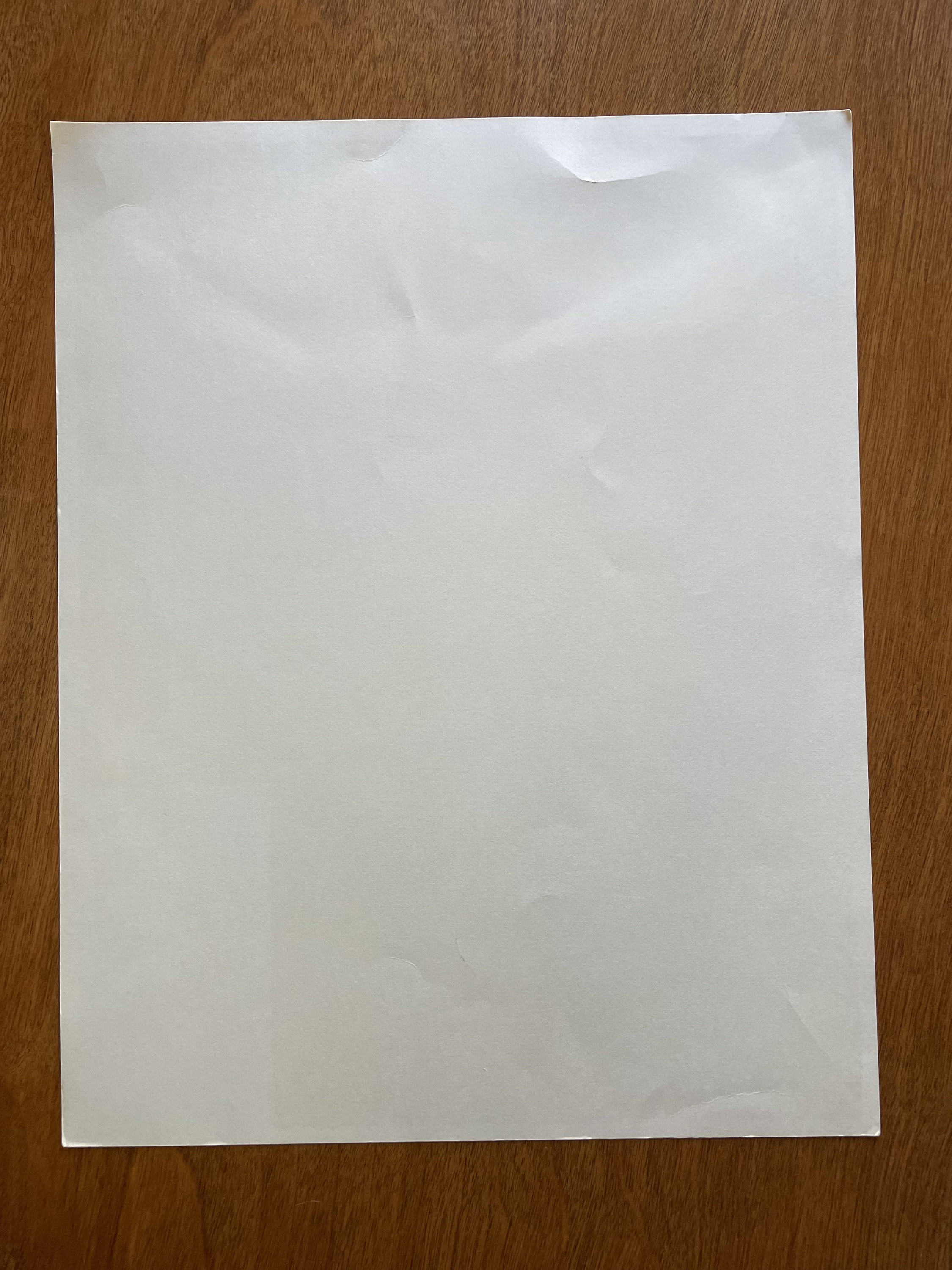 Grease 2 Lobby Card 7 - Connie Francis, Adrien Zmed - Etsy