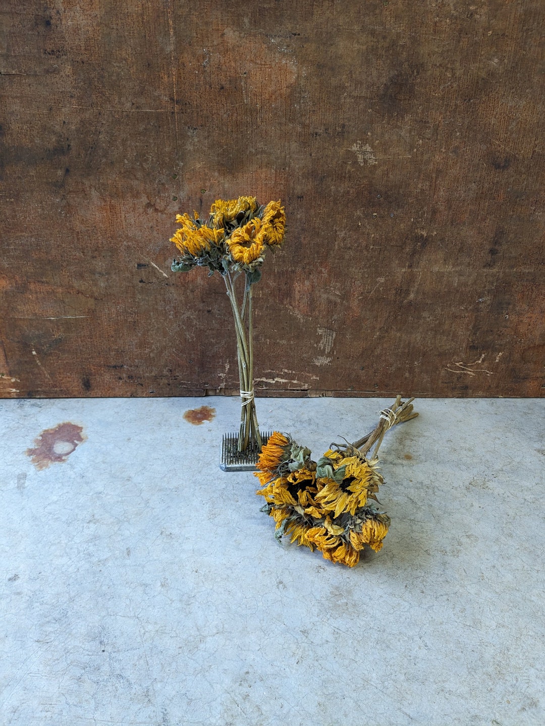 Dried Sunflower Yellow Sunflowers Dried Sunflower Bouquet Naturally ...