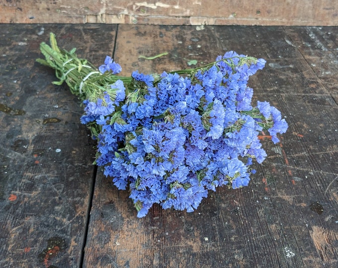 Blue Statice Mix Light Blue Statice Naturally Dried Flowers Everlasting ...