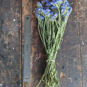 Blue Statice Mix Light Blue Statice Naturally Dried Flowers Everlasting ...