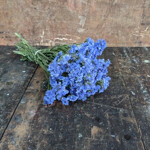 Blue Statice Mix Light Blue Statice Naturally Dried Flowers Everlasting ...
