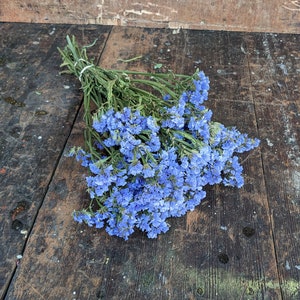 Blue Statice Mix Light Blue Statice Naturally Dried Flowers Everlasting ...