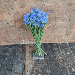 Blue Statice Mix Light Blue Statice Naturally Dried Flowers Everlasting ...