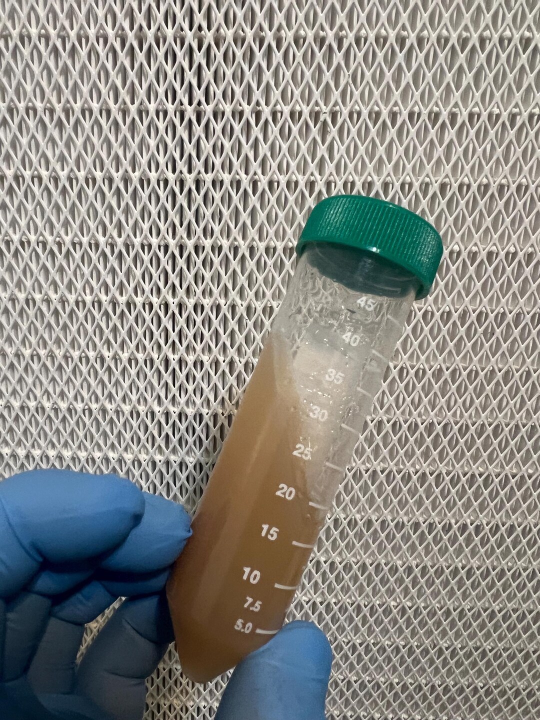 Agar Slants 10 Pack - Etsy