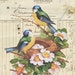 Large Decoupage Paper - 20 X 30" - Blue Birds & Nest - Furniture ...