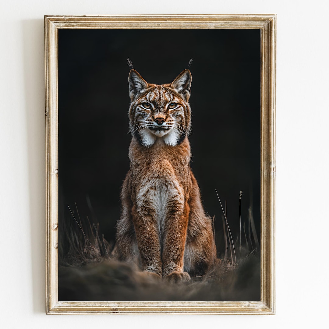 European Lynx Wall Art | Lynx Printable Art | Animal Wall Art | Bobcat ...