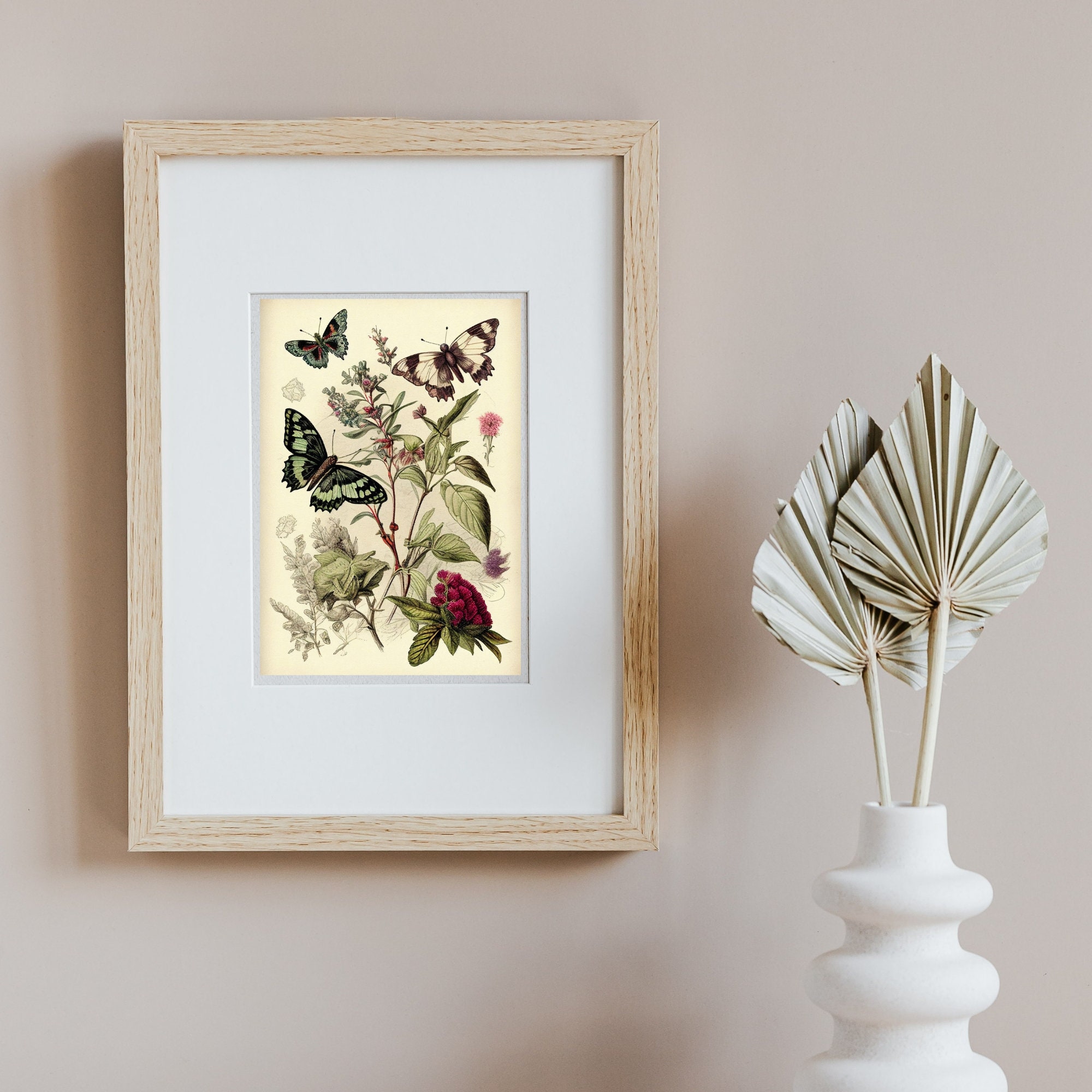 Vintage Butterfly Wall Art Butterflies Botanical Print - Etsy