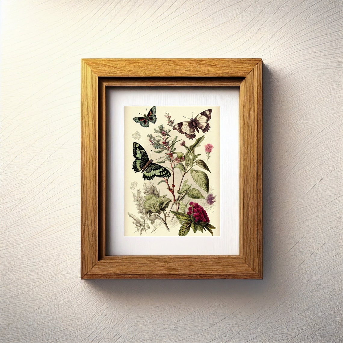 Vintage Butterfly Wall Art Butterflies Botanical Print - Etsy