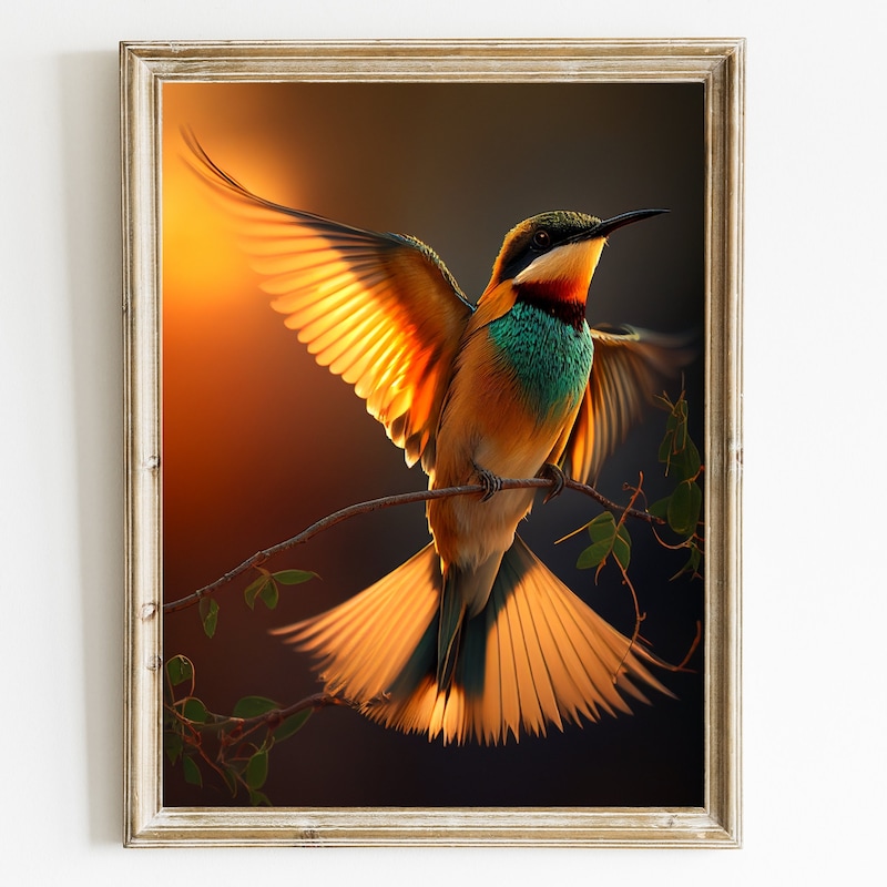 Bee Eater - Etsy