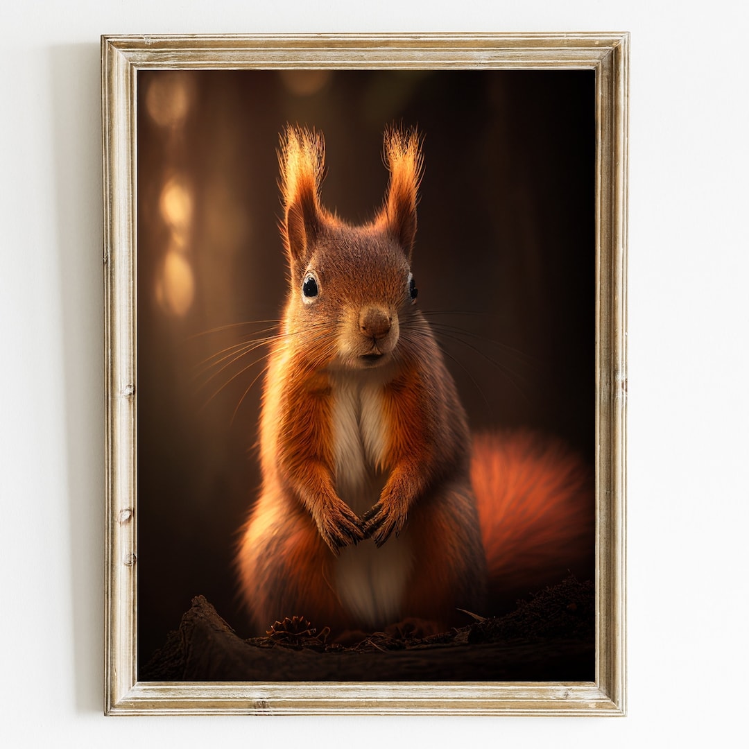 Red Squirrel Wall Art, Squirrel Wall Art, Squirrel Art, Red Squirrel ...