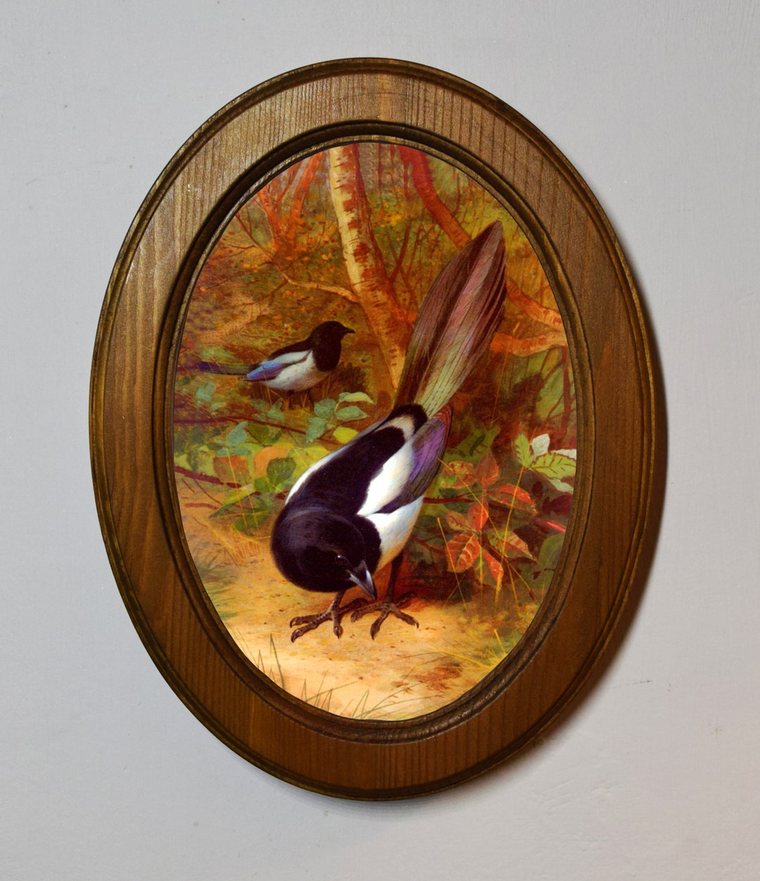 Light Oak Oval Wooden Framed Art Print, Archibald Thorburn 'magpies ...