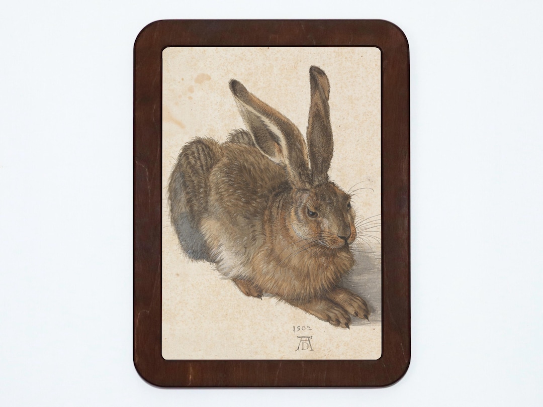 Young Hare Albrecht Durer Animal Classic Painting Wooden Framed Art ...