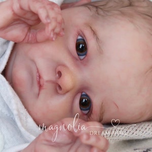 Custom Order! Reborn Baby Girl Tink by Bonnie Brown 18” Magnolia Dream ...