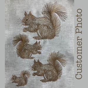 Squirrel Machine Embroidery File, Sketched Style. British Wildlife. 5 ...