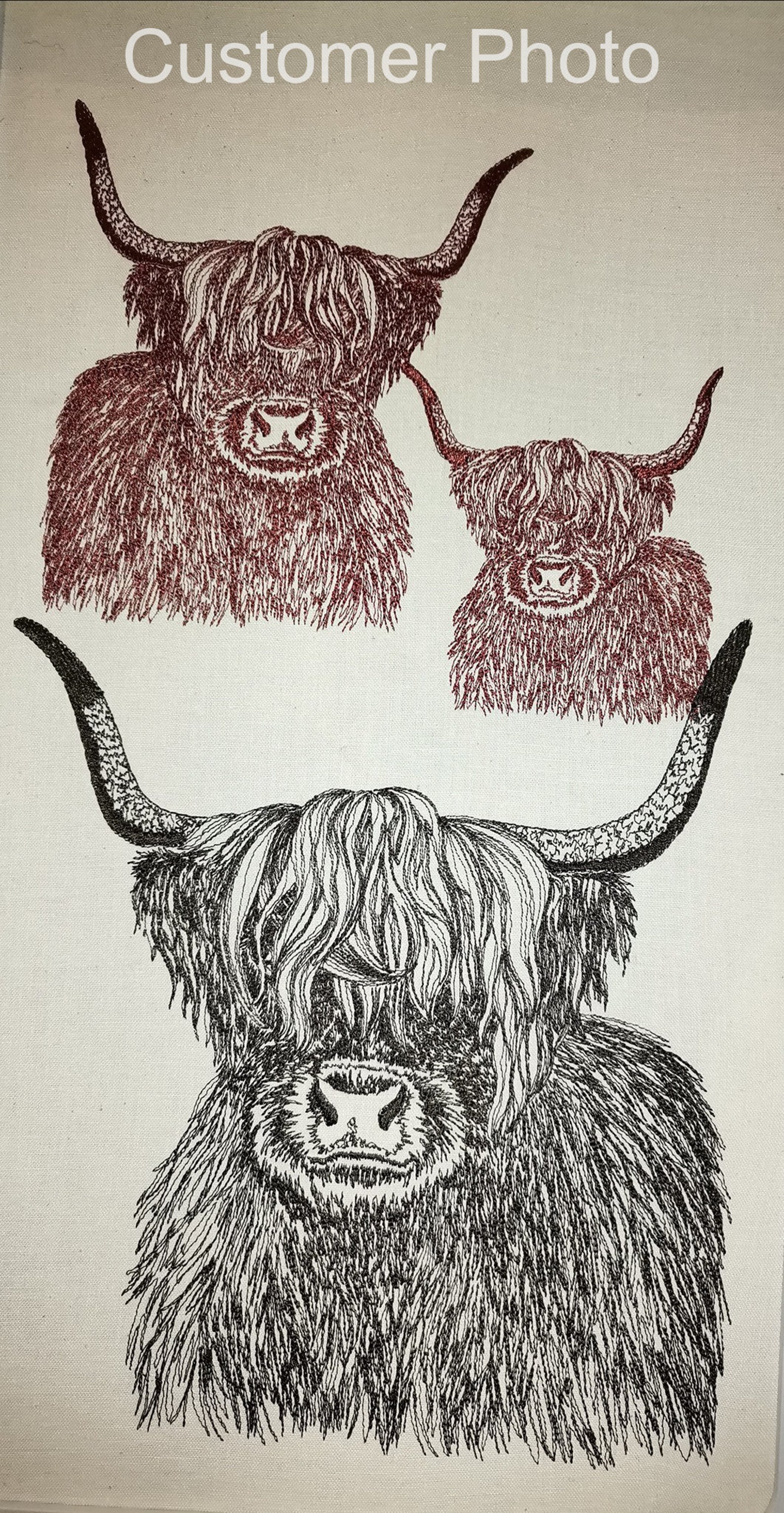 Highland Cow Machine Embroidery File Sketched Style. 4 Sizes - Etsy