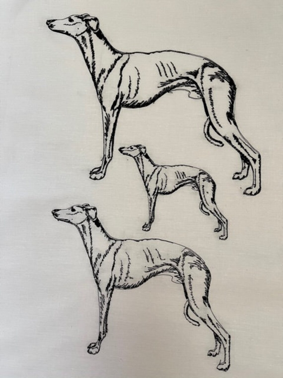 Greyhound / Whippet Machine Embroidery File, Digital Download. Sketched ...