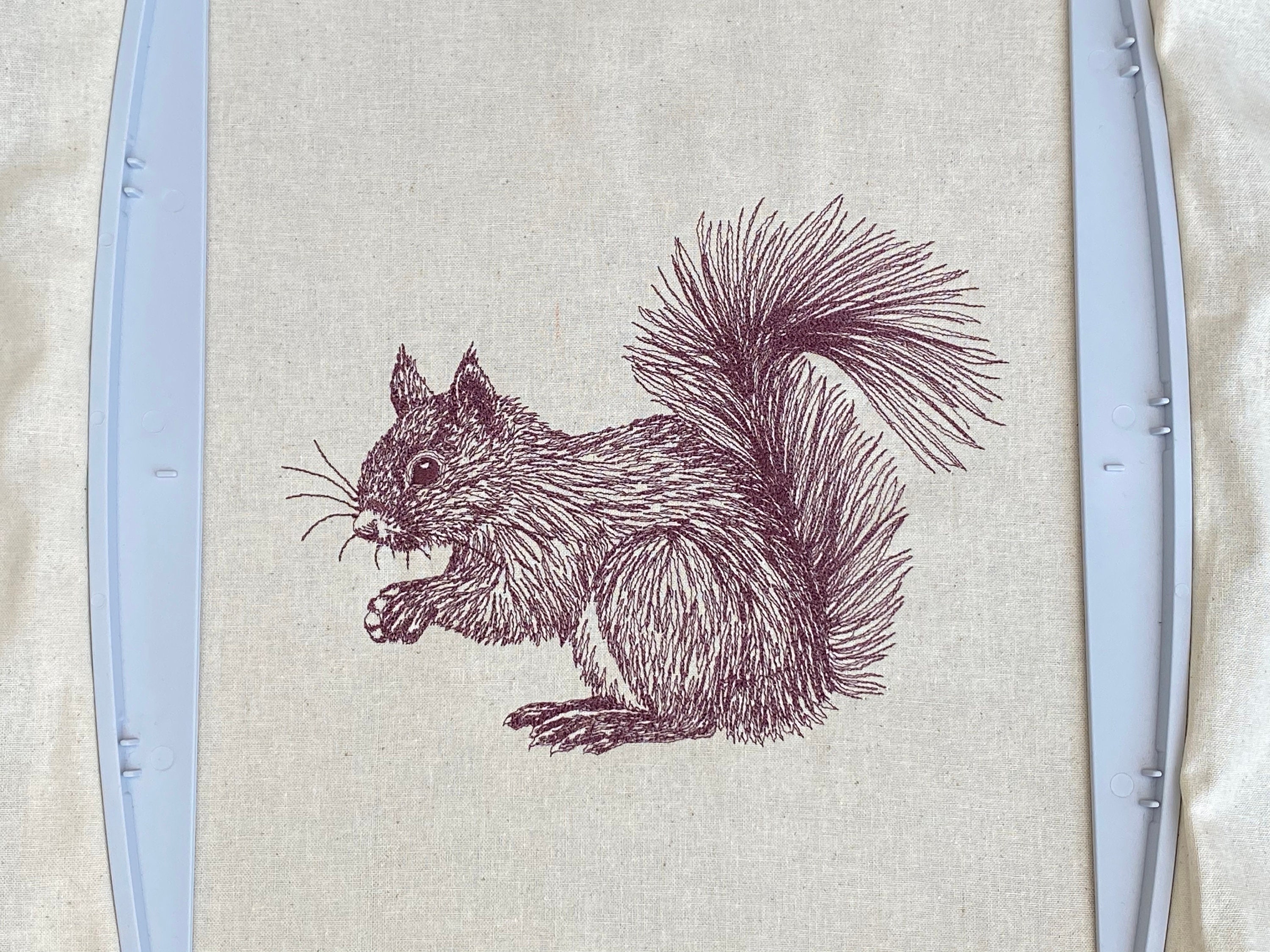 Squirrel Machine Embroidery File Sketched Style. 3 Sizes 11 | Etsy UK