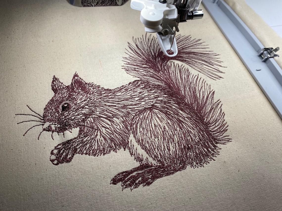 Squirrel Machine Embroidery File Sketched Style. 3 Sizes 11 | Etsy UK