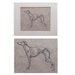 Greyhound / Whippet Machine Embroidery File, Digital Download. Sketched ...