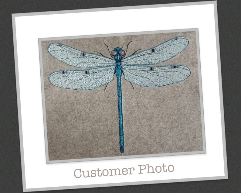 Dragonfly Machine Embroidery Design With Optional Appliqué Wings. 6 ...