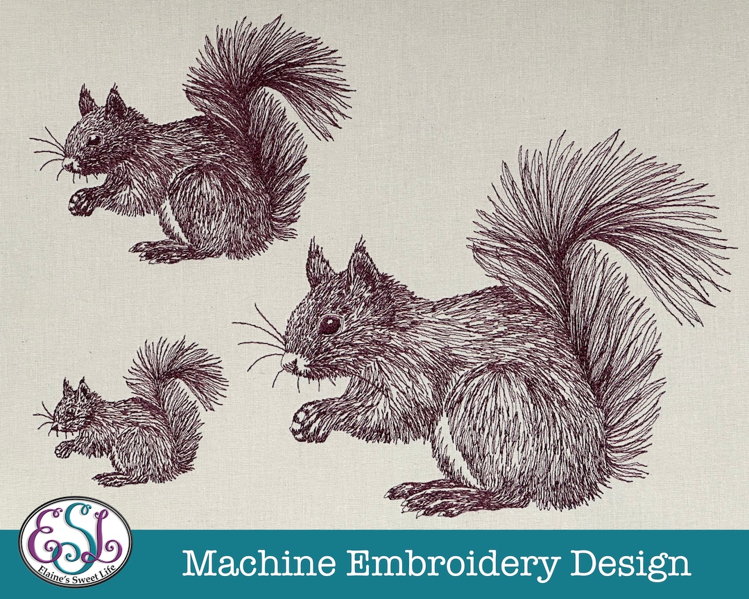 Squirrel Machine Embroidery File, Sketched Style. British Wildlife. 5 ...
