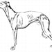 Greyhound / Whippet Machine Embroidery File, Digital Download. Sketched ...