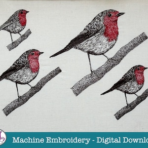 Robin Red Breast Machine Embroidery File, Sketched Style. Two Colour, 5 ...