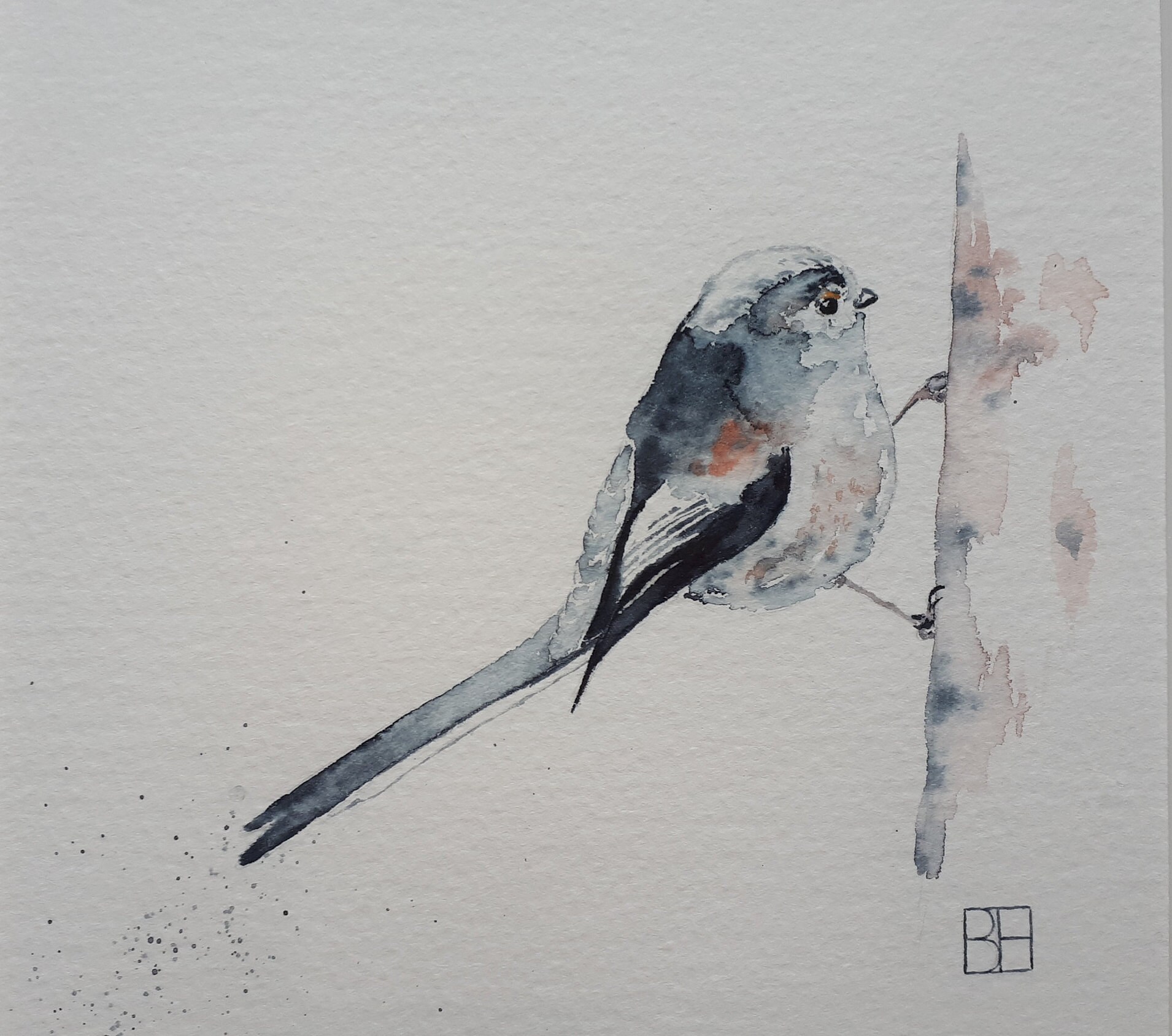 LONG Tailed TIT Watercolour Original by Barry Hyam - "on A Tree ...