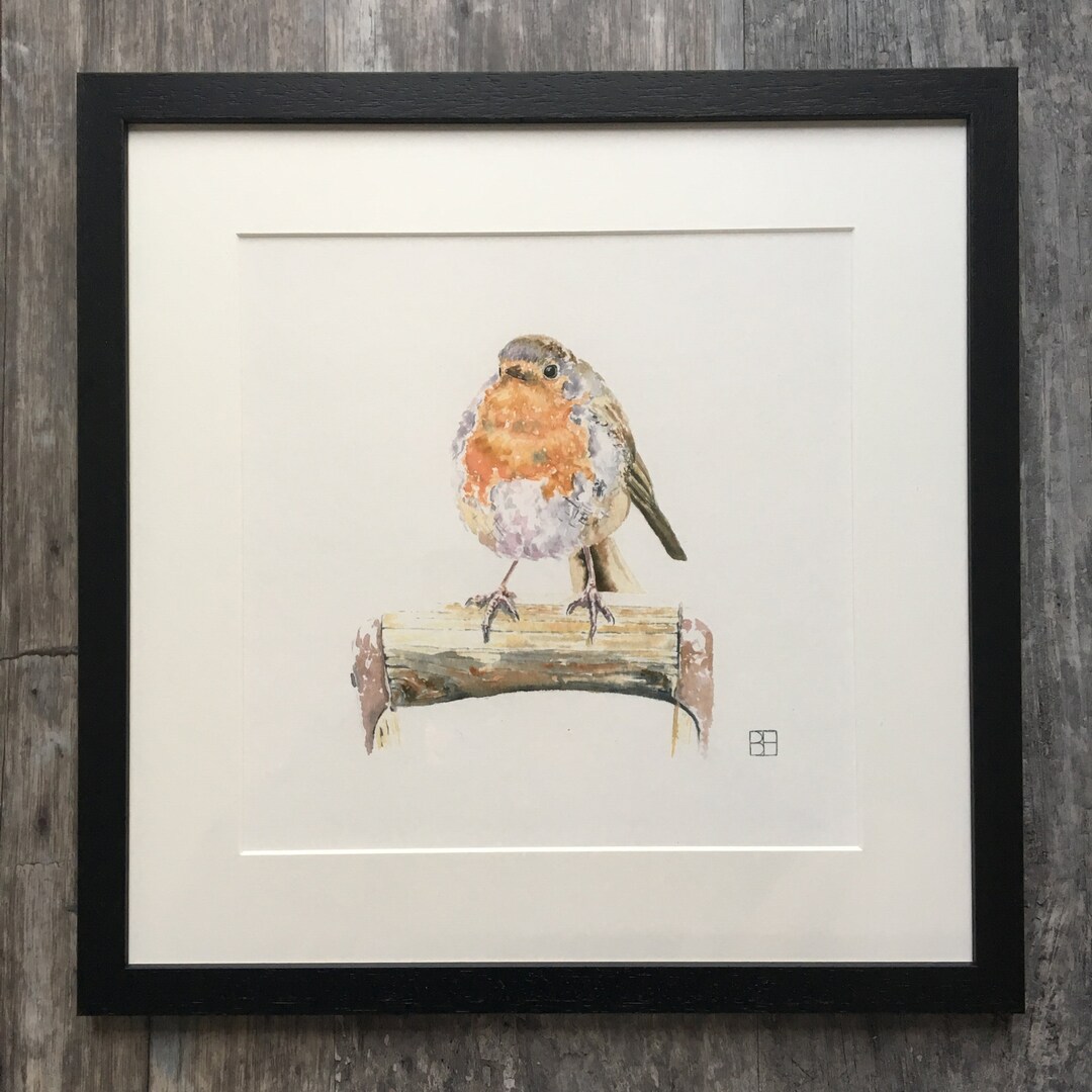 ROBIN Watercolour Print by Barry Hyam - "gardener's Friend" - Etsy UK