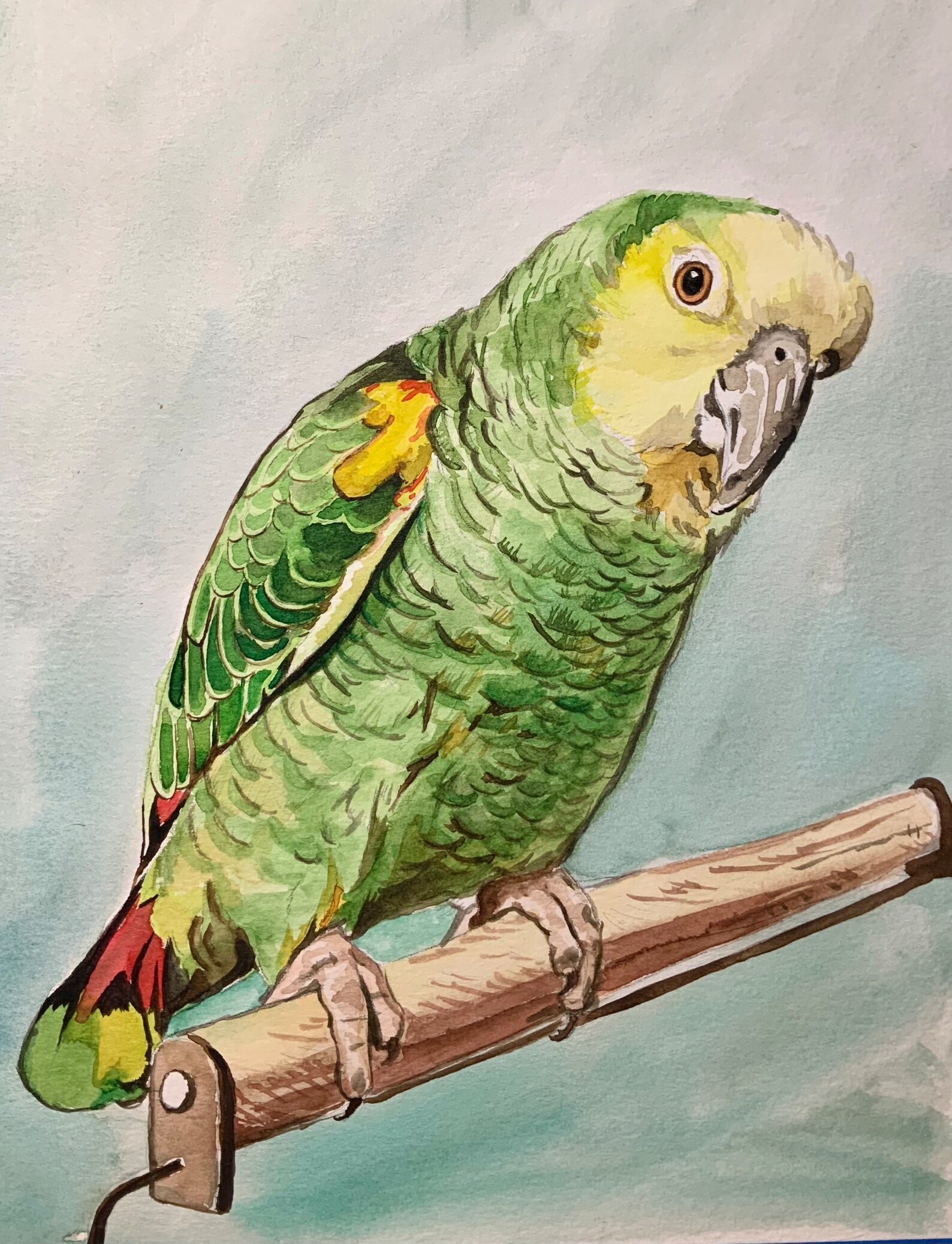 Pet Portrait in Watercolor 9x12 Original Painting - Etsy