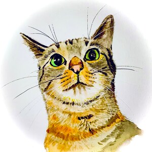 Pet Portrait in Watercolor| 9x12 Original Painting - Etsy