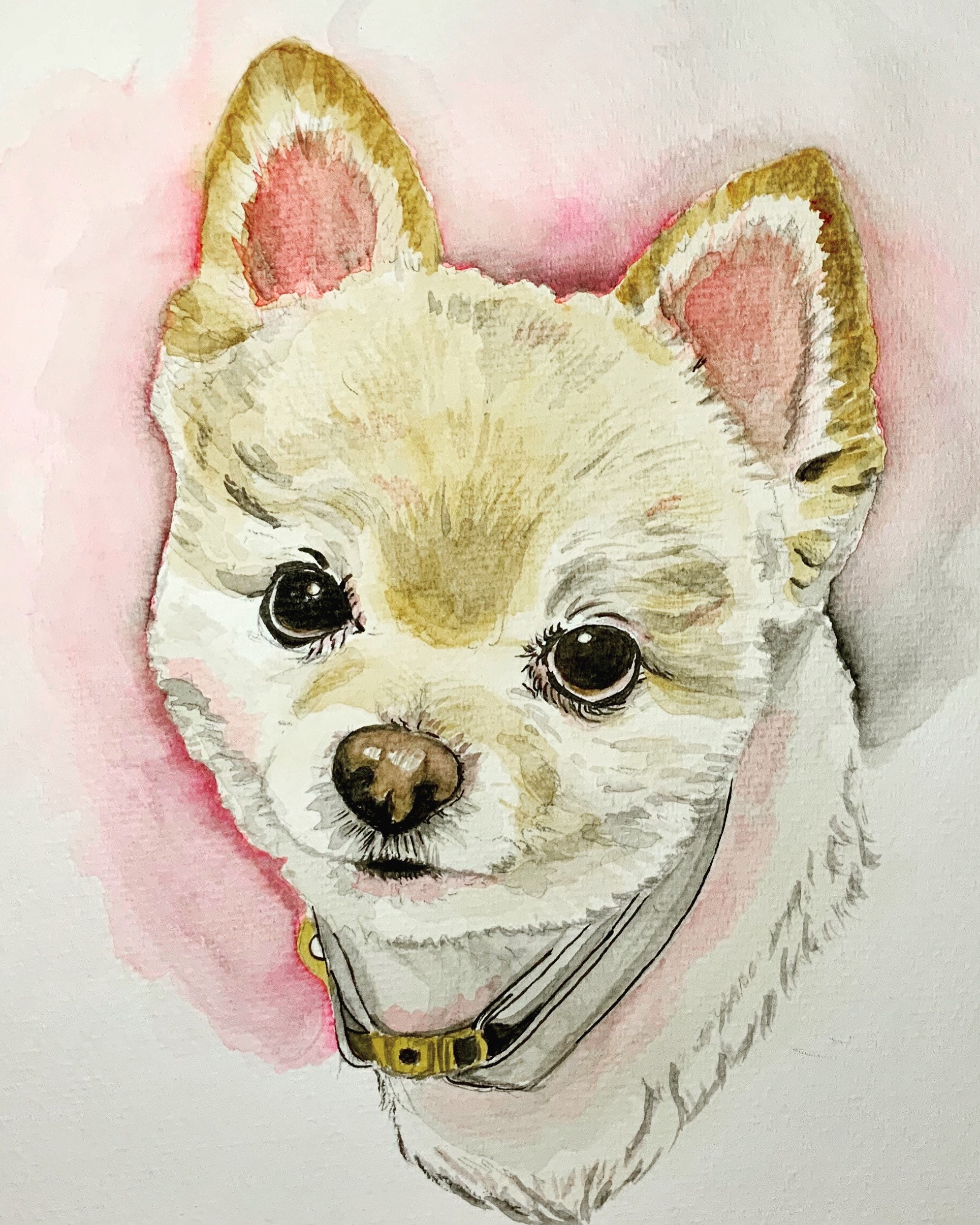 Pet Portrait in Watercolor| 9x12 Original Painting - Etsy