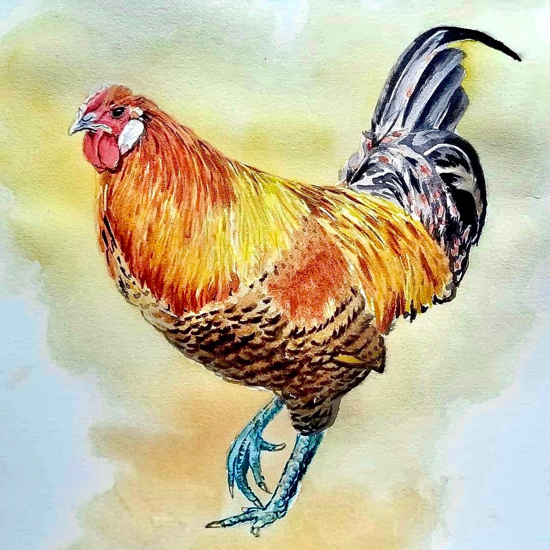 Pet Portrait in Watercolor 9x12 Original Painting - Etsy