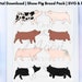 Show Pig Breeds Digital Download Designs | SVG & PNG | ULTIMATE Pig ...