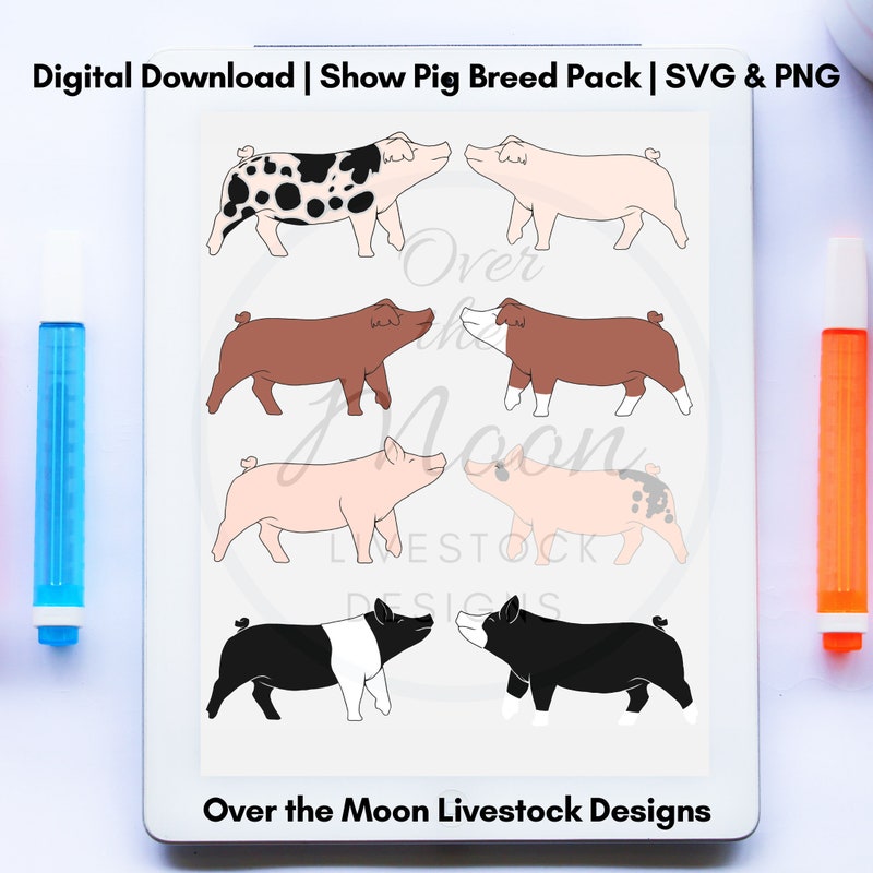 Show Pig Svg - Etsy