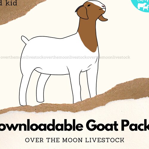 Show Goat Digital Download Designs 5 Unique Boer/meat Goat - Etsy