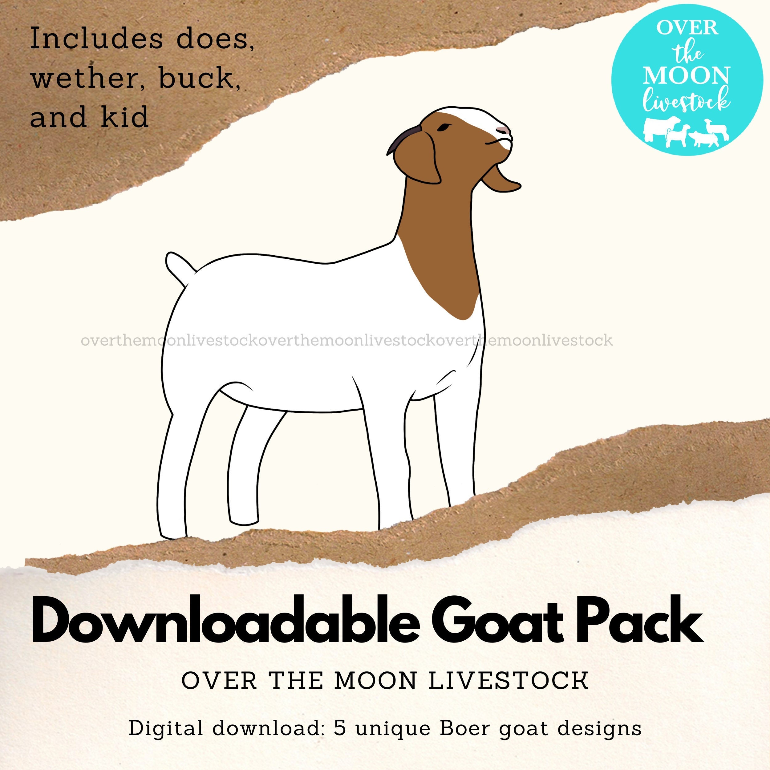 Show Goat Digital Download Designs | 5 Unique Boer/meat Goat PNG Files ...