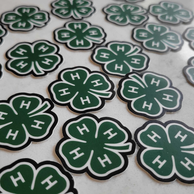 4 H Scrapbooking - Etsy