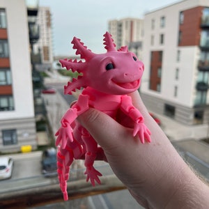 Articulated Smiling Axolotl | Sensory Stress Fidget | as Seen on Tiktok ...