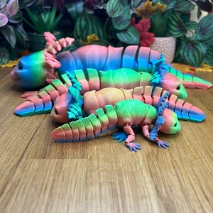 3dprinted Articulated Adorable Axolotl | Sensory Stress Fidget | as ...